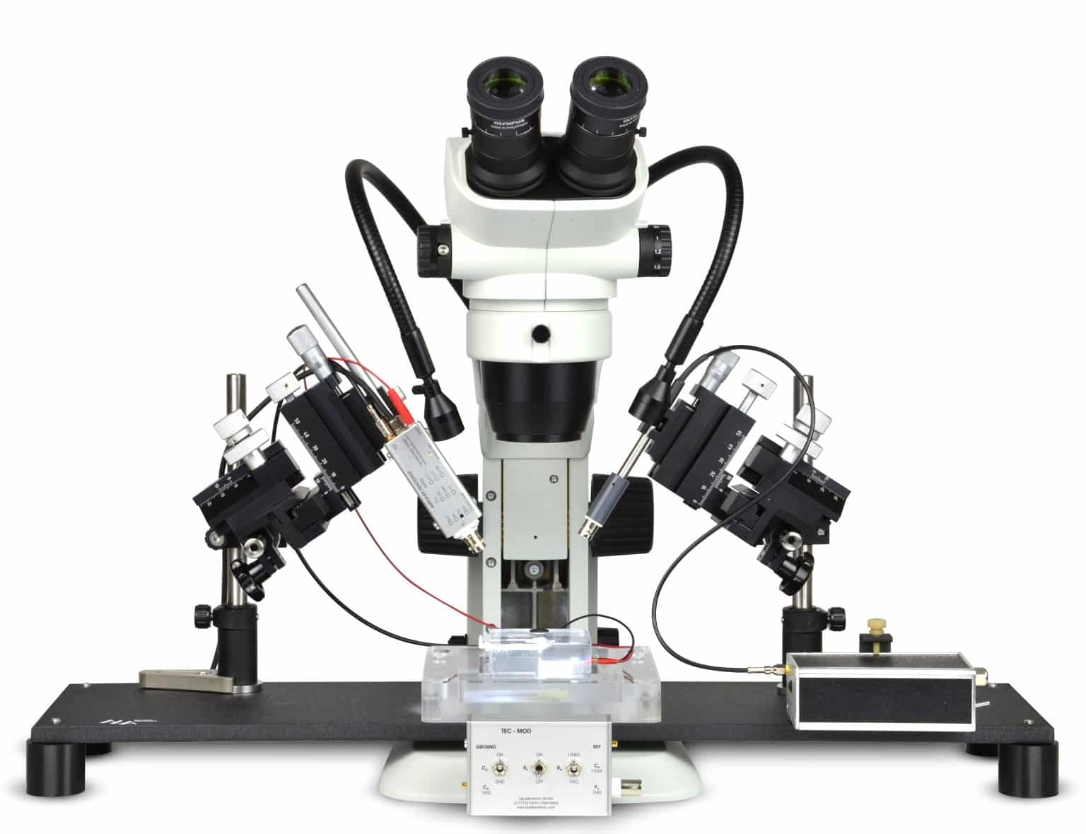 npi's guide to Two Electrode Voltage Clamp in Xenopus oocytes - NPI ...
